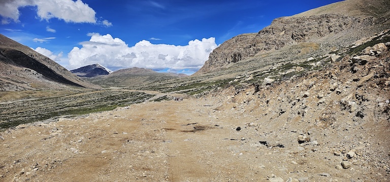 Nepal’s Himalayan biodiversity struggles with new herds and highways ...