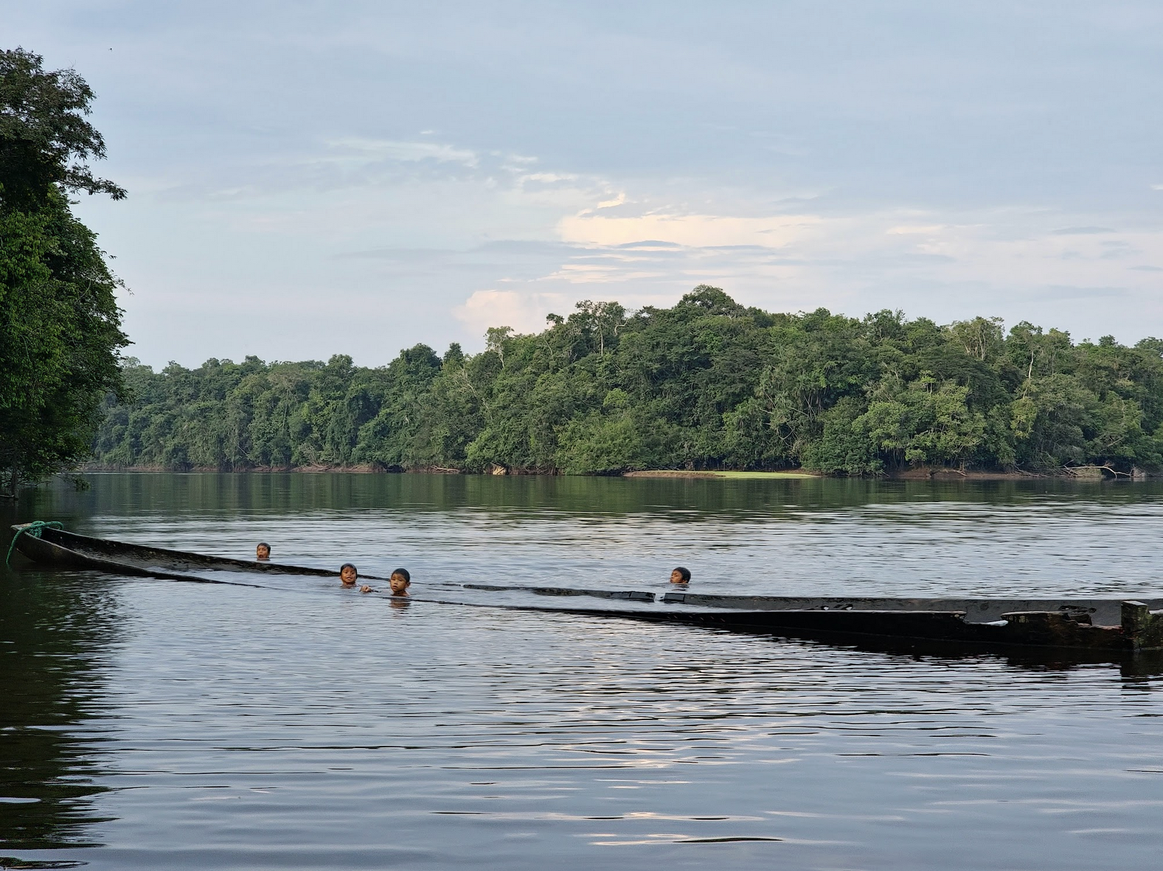 Seven Indigenous paths to protect the Amazon: Voices from the land ...