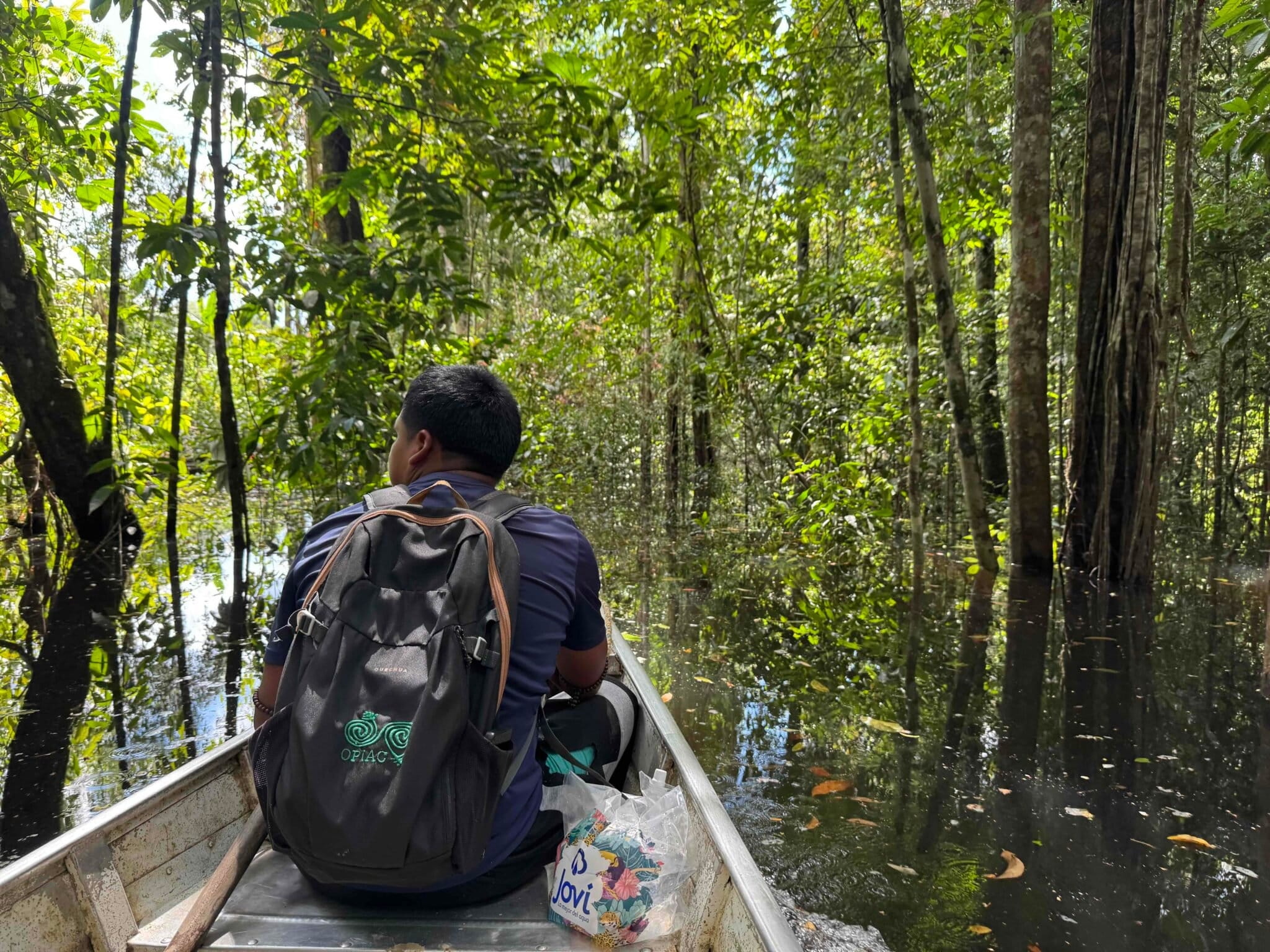 Seven Indigenous paths to protect the Amazon: Voices from the land ...