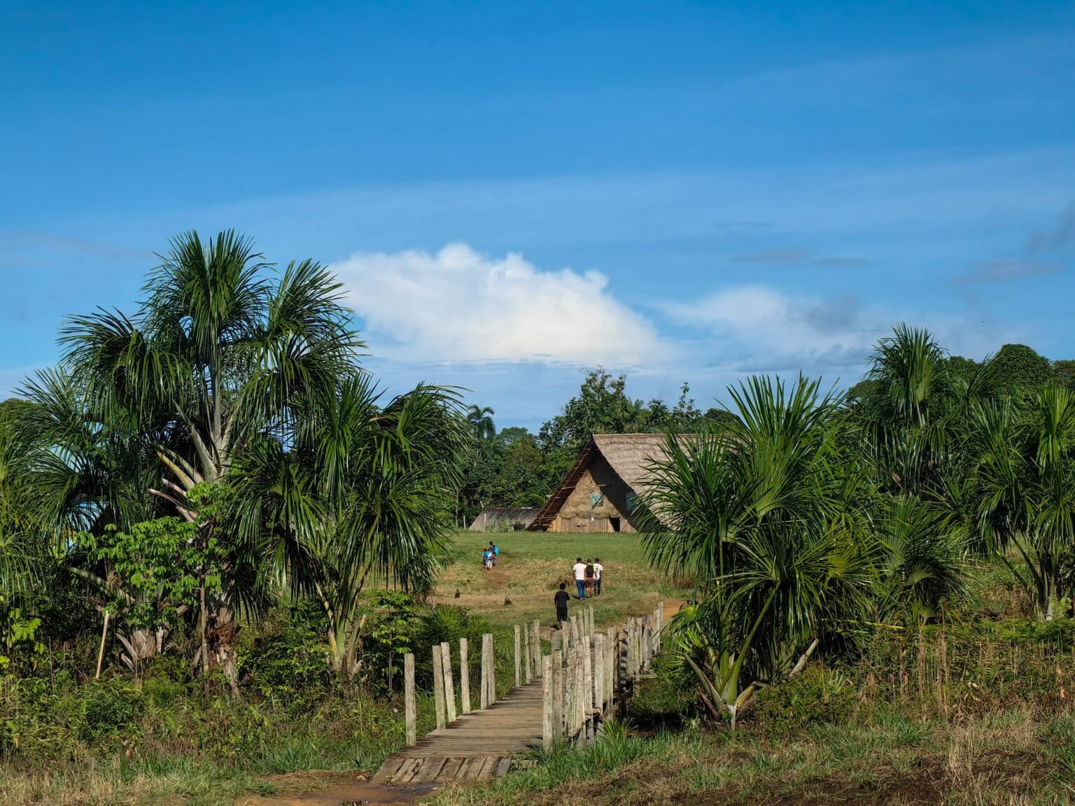 Seven Indigenous paths to protect the Amazon: Voices from the land ...