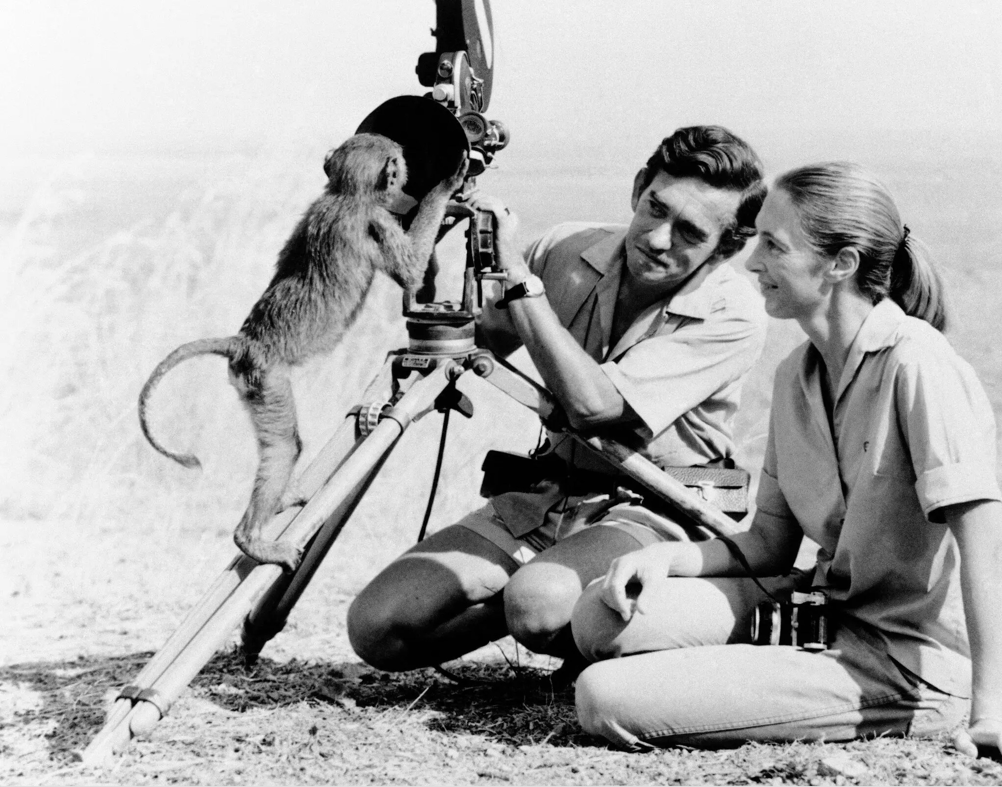 Jane Goodall (1934–2025): primatologist, conservationist, and messenger ...