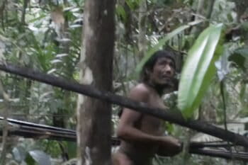 Respecting uncontacted peoples can protect biodiversity and our ...