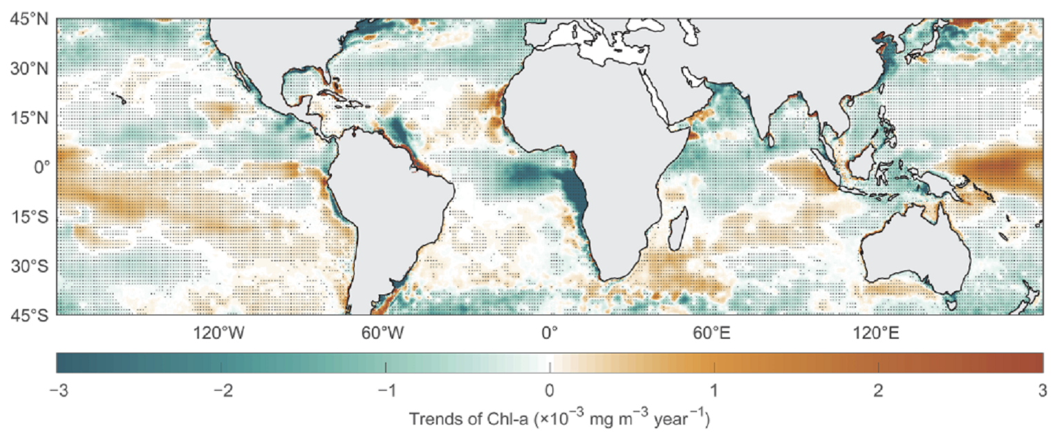 ‘Not good’: Ocean losing its greenness, threatening food webs