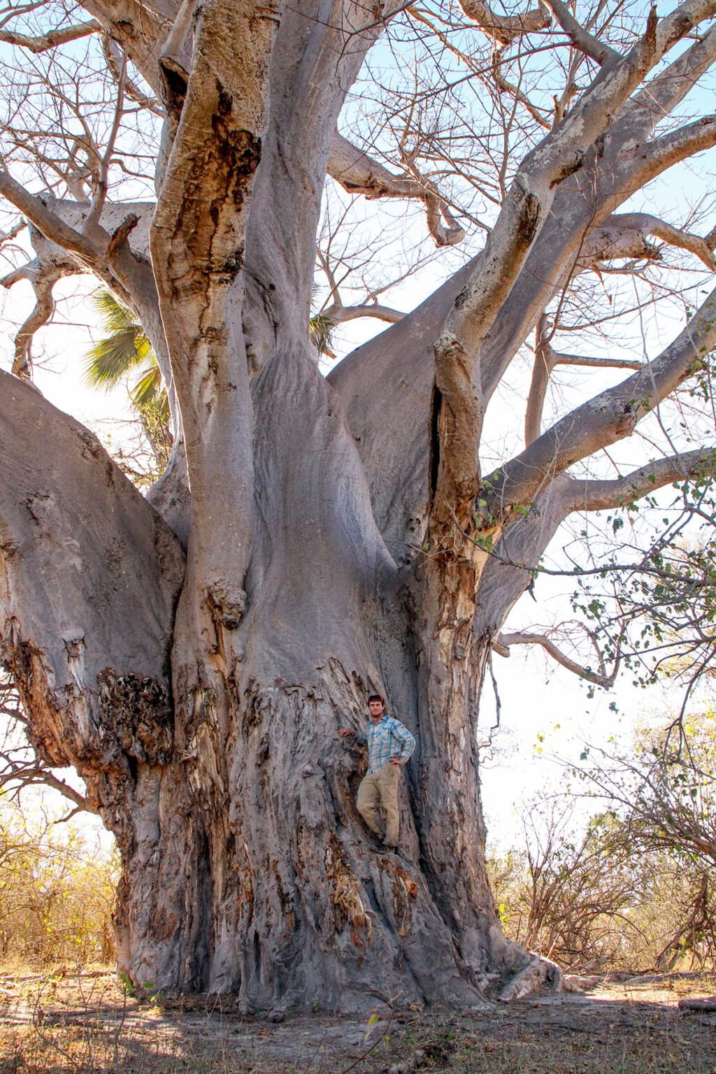 Turning outdoor exploration into environmental discovery: Gregg ...