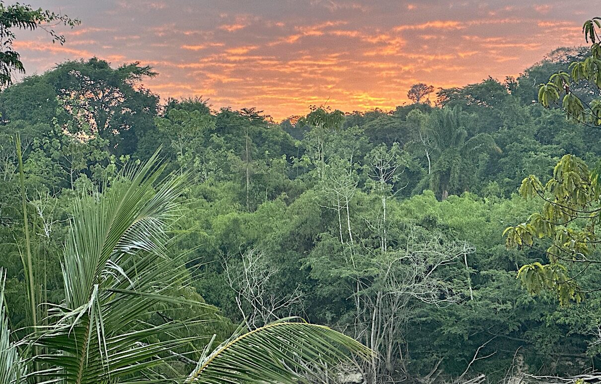 Top ethnobotanist Mark Plotkin's COP30 reflections on Amazon conservation (analysis)