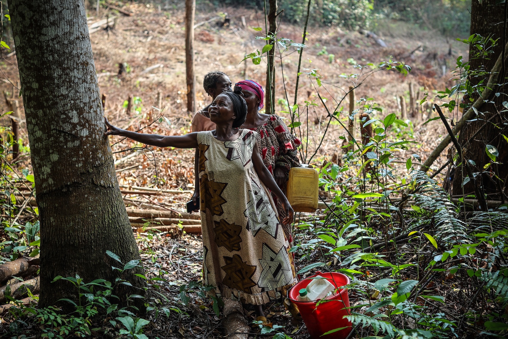 Rights to millions of hectares of Indigenous & local communities’ lands ...