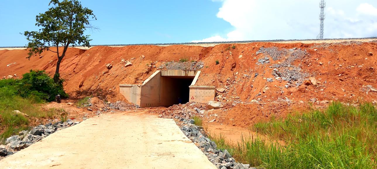 Wildlife and communities bear the cost as Simandou rail corridor ...