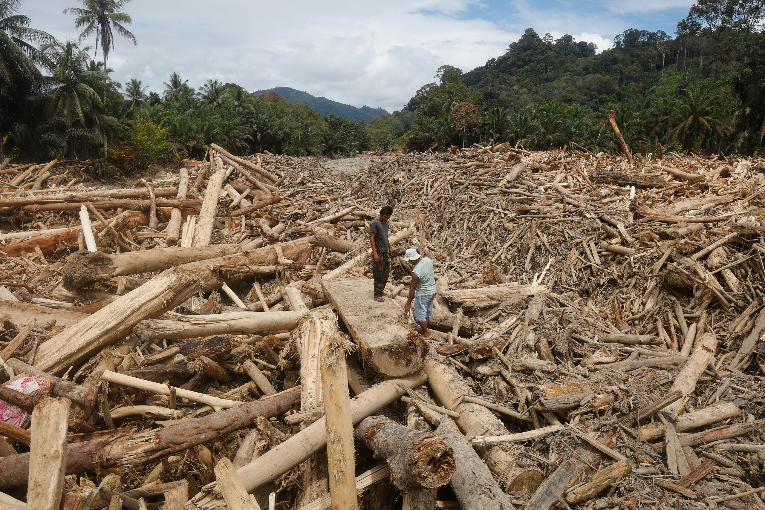 Sumatra’s ‘natural’ disaster wasn’t natural: How deforestation turned a ...