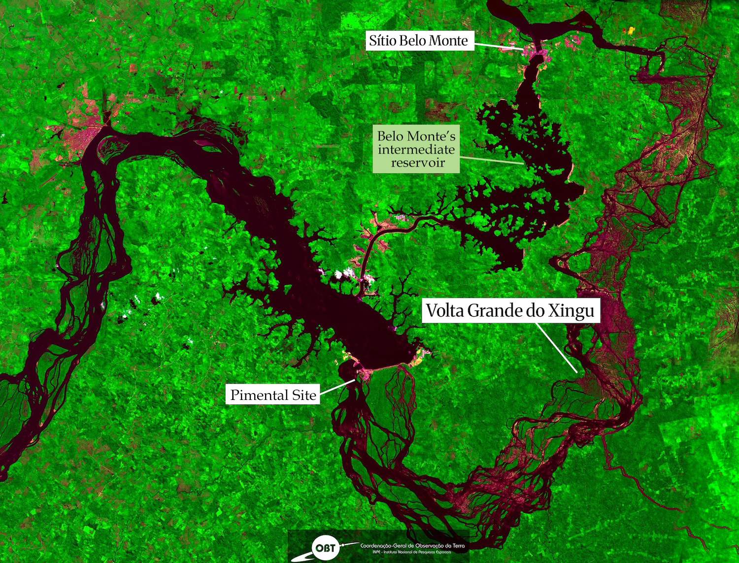 Fish deformities expose ‘collapse’ of Xingu River’s pulse after ...