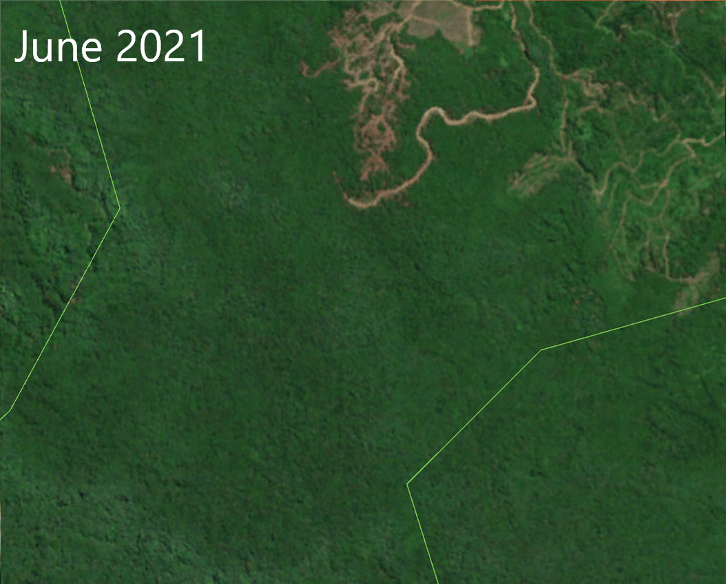 Indonesia sues 6 companies over alleged links to deadly floods & landslides