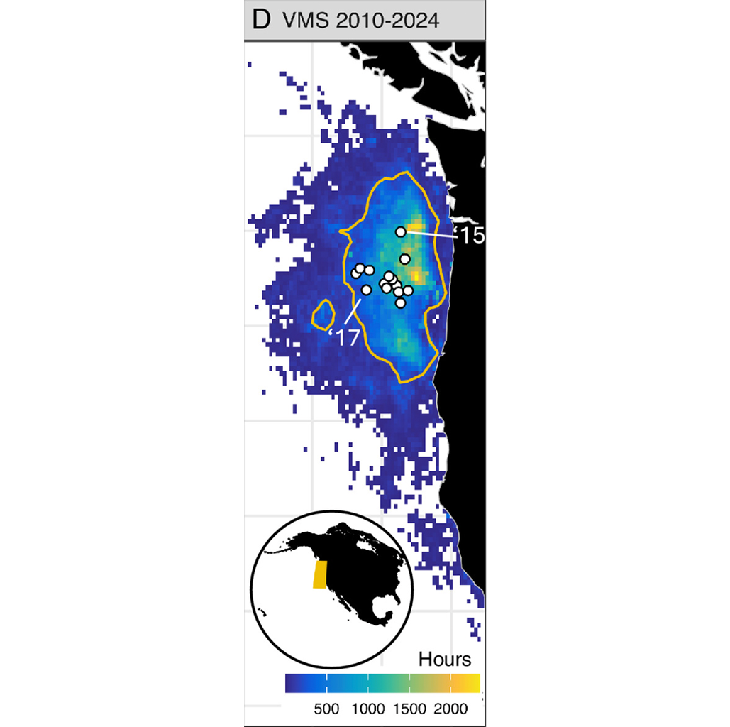 Study tracks fishing boats to see how heat waves affect fish distribution