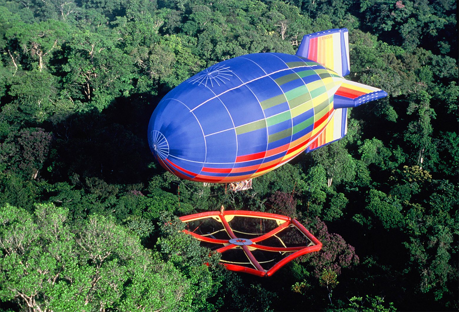 Francis Hallé, the botanist who took a raft into the rainforest canopy ...