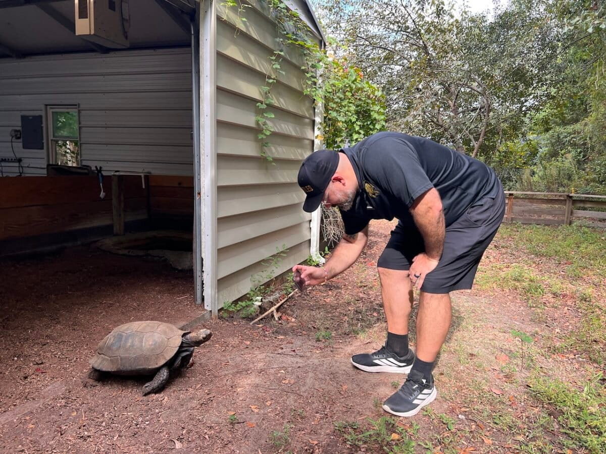 The Turtle Bank: The last of these Asian turtle species find refuge in ...