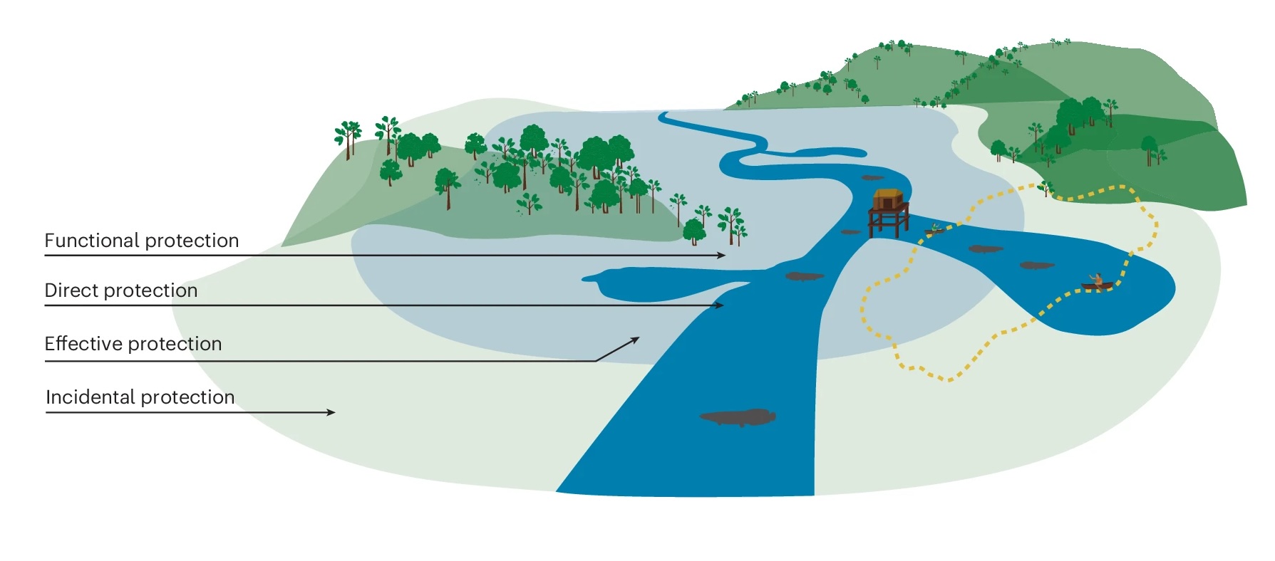 In the Brazilian Amazon, community conservation success comes with a ...