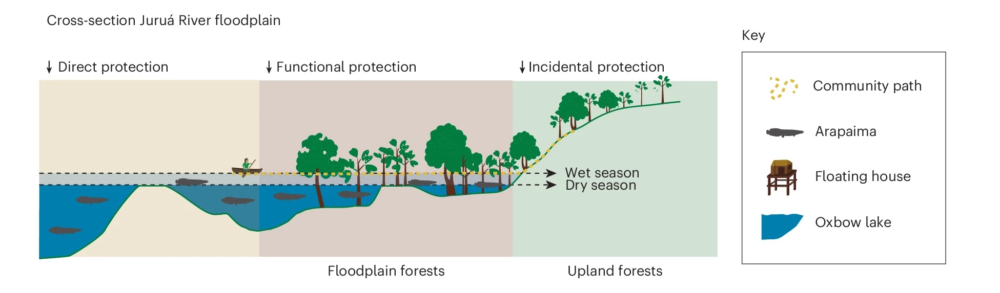 In the Brazilian Amazon, community conservation success comes with a ...