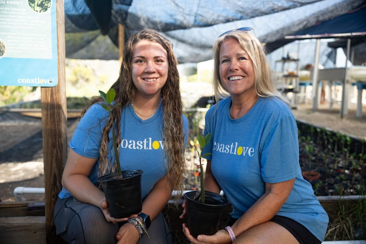How intermediaries are reshaping mangrove restoration - South Africa Today