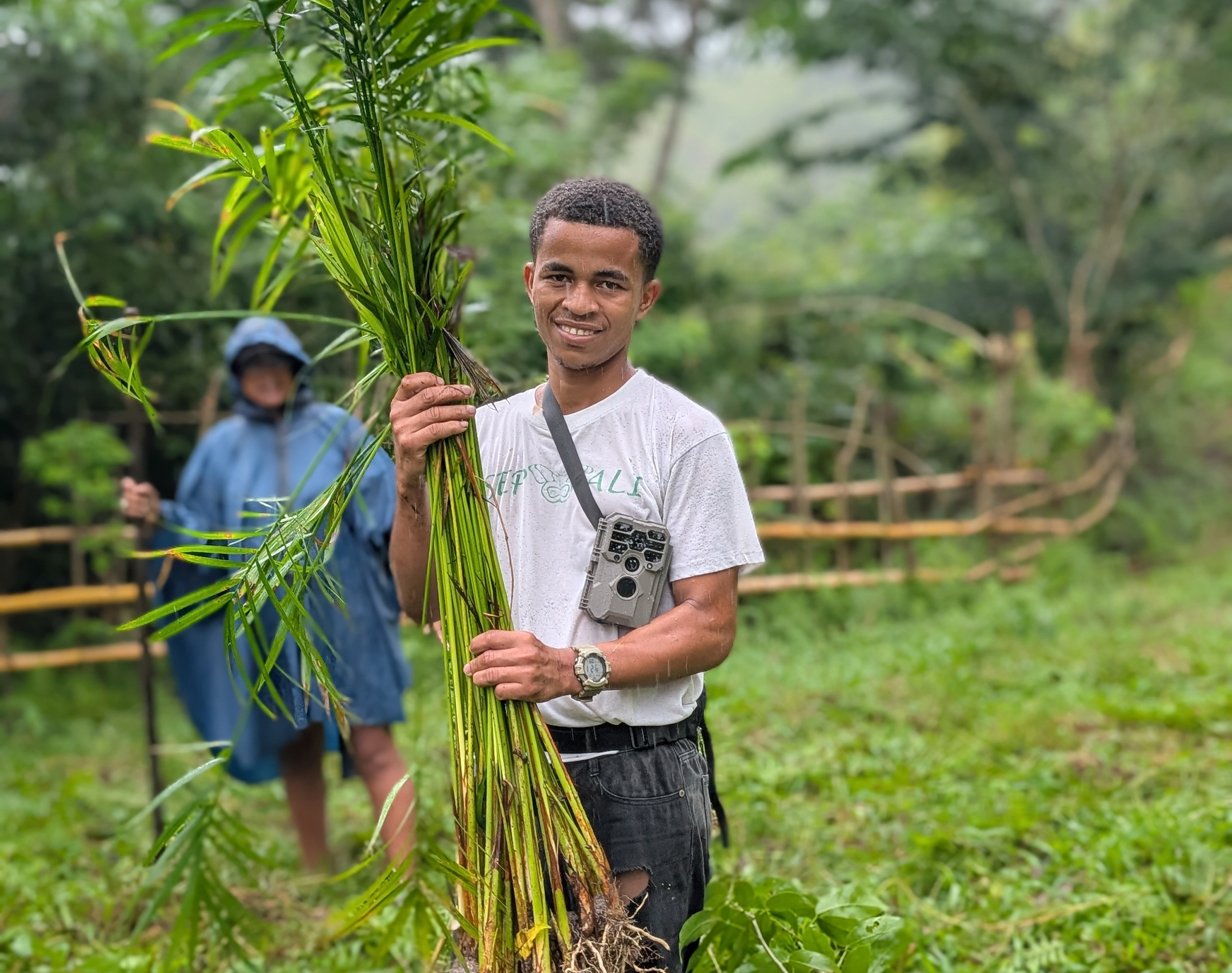 How silk caterpillars became a tool for conservation in Madagascar