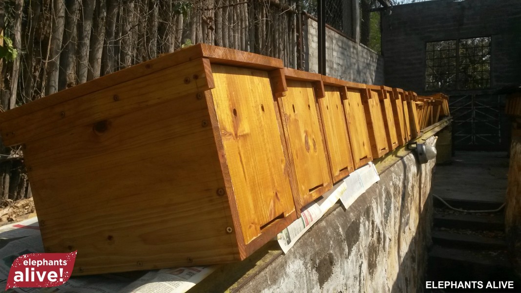 The best defense is a good bee-fence