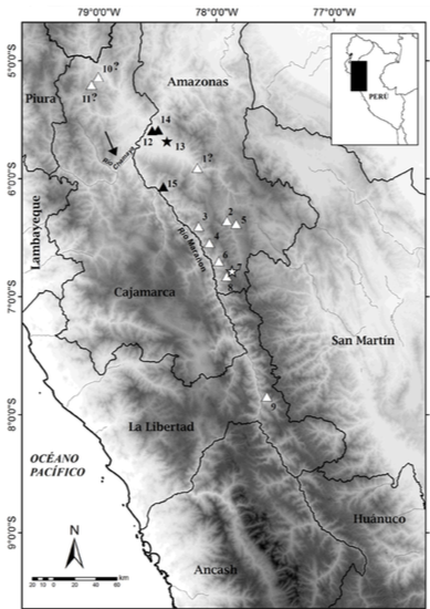 Perú: hallan nueva especie de roedor en cuenca del río Marañón