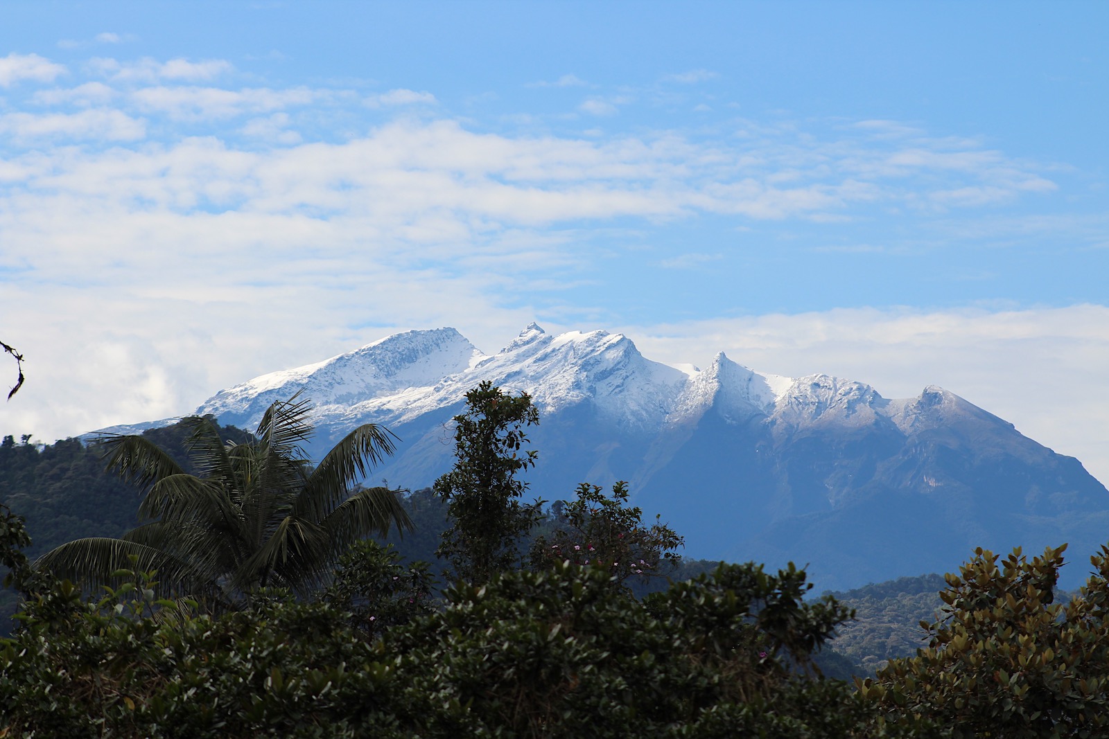 El Chocó Andino podría convertirse en la séptima Reserva de Biósfera ...