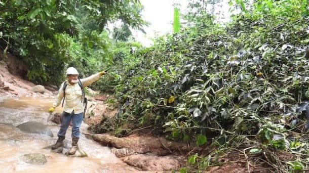 27 personas afectadas por derrame de gas líquido en la selva peruana