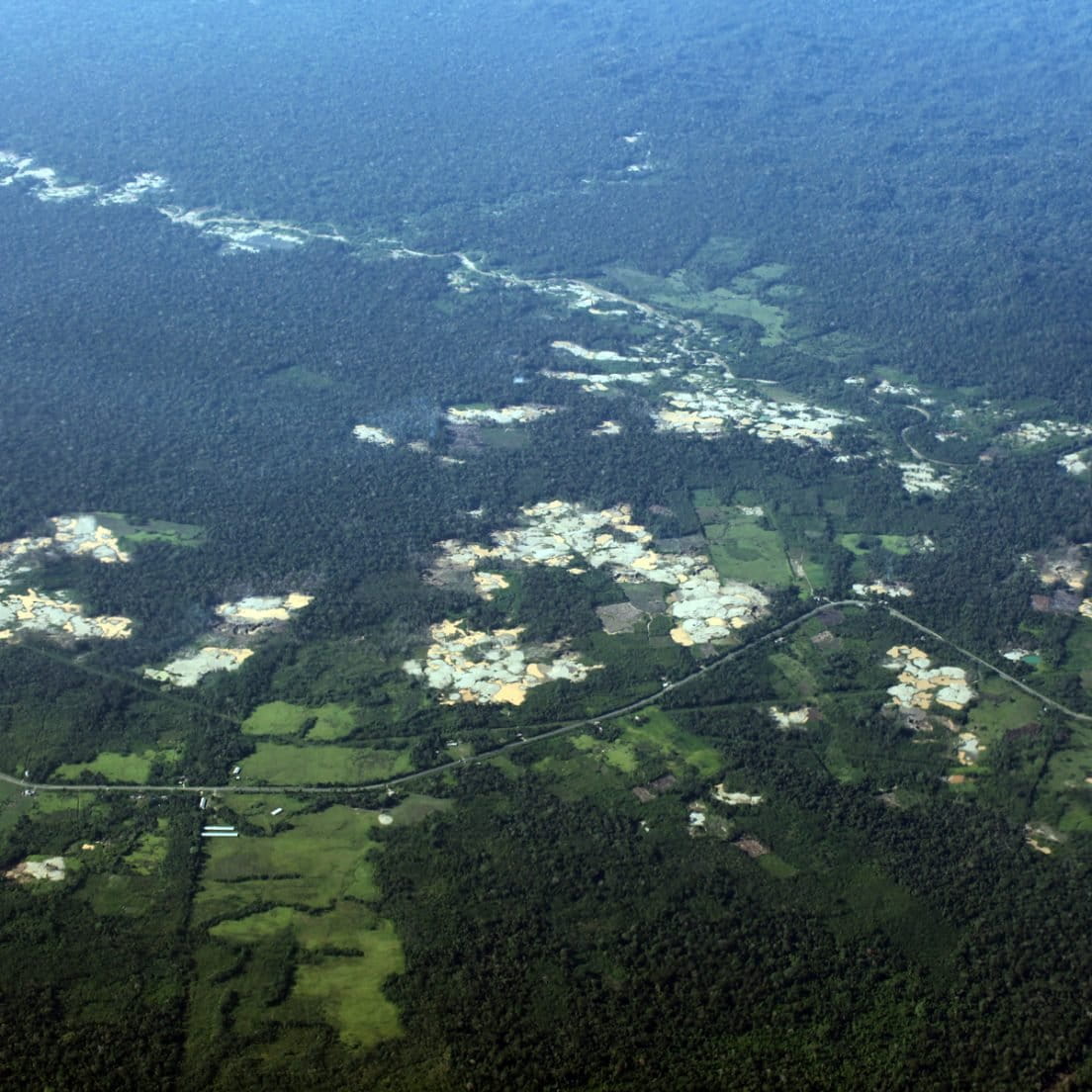 Red de Reportajes sobre los Bosques Mundiales Archives - Noticias ...