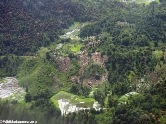 22 impactantes imágenes del avance de la deforestación en los bosques ...