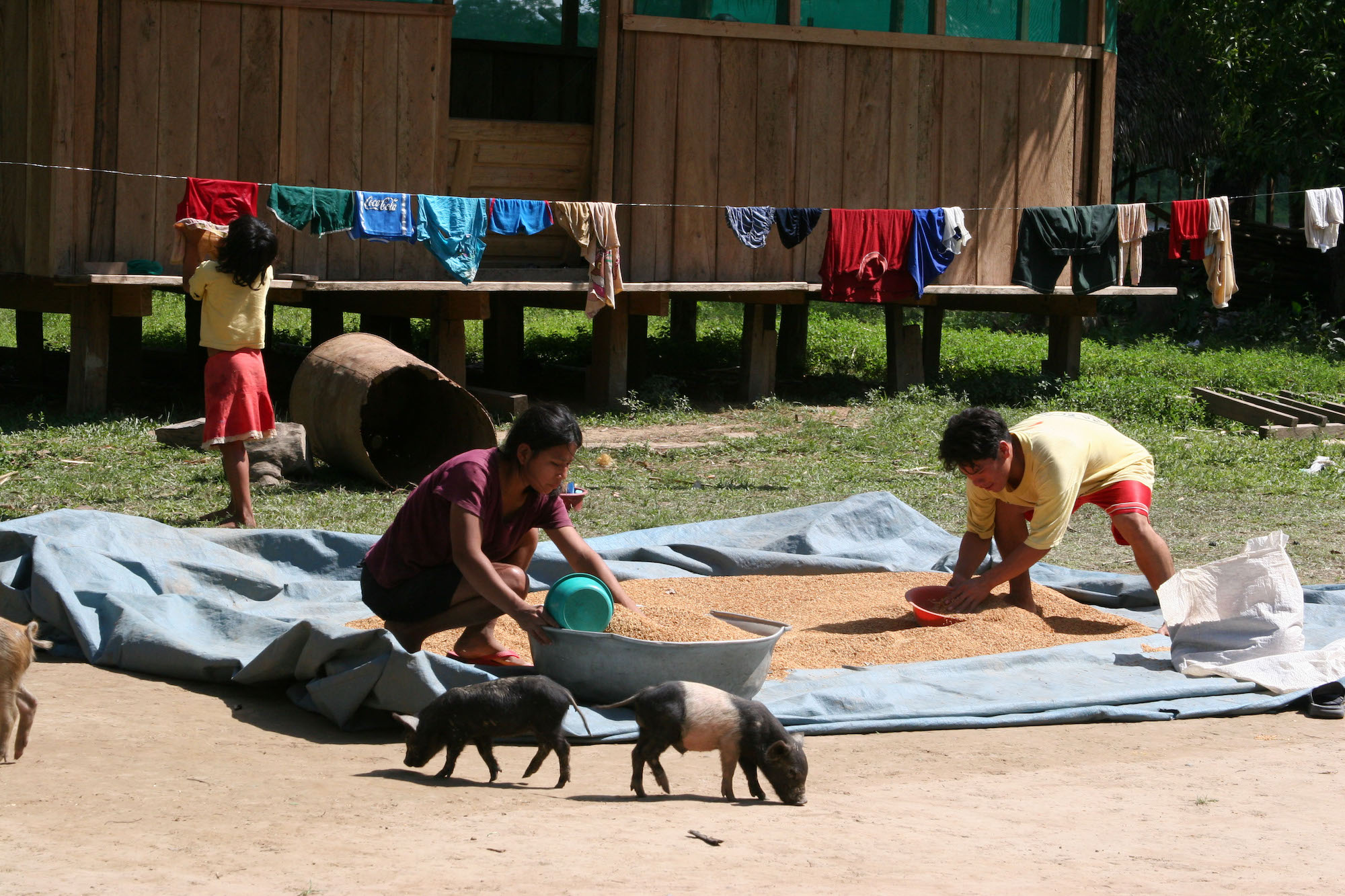 Bolivia: los buenos resultados del manejo territorial de los pueblos ...