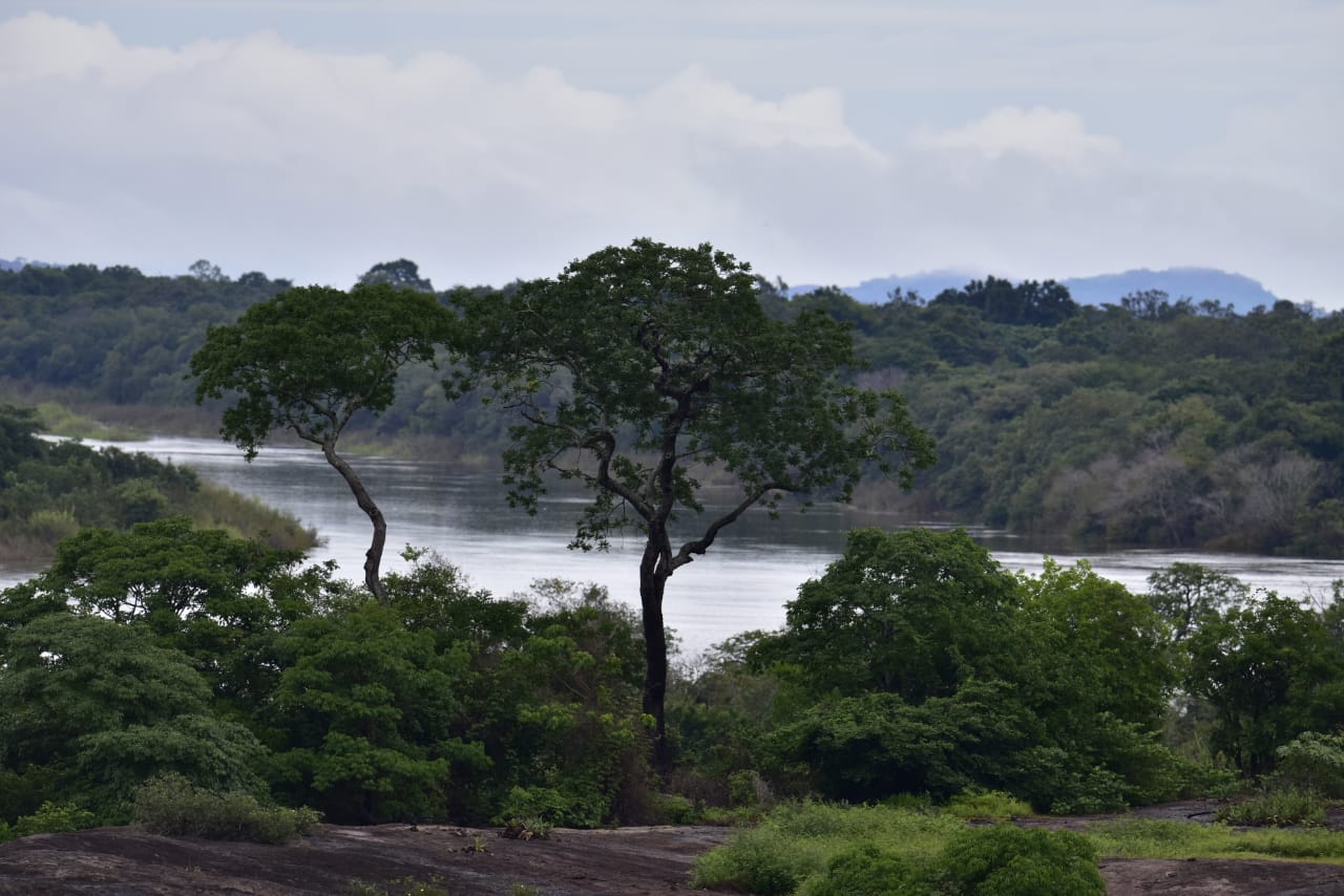 El río Bita se convierte en el undécimo humedal Ramsar de Colombia