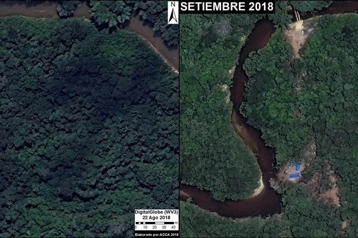 La ruta de la tala selectiva y su impacto en la Amazonía peruana