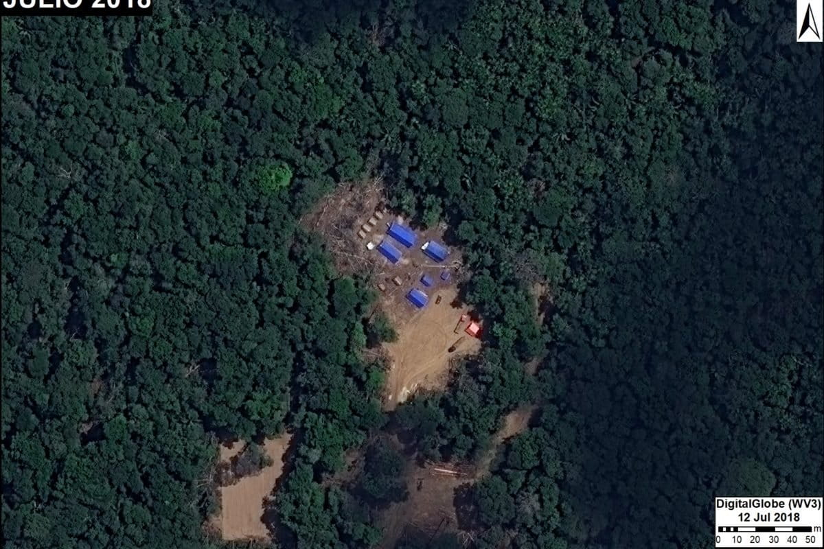 La ruta de la tala selectiva y su impacto en la Amazonía peruana