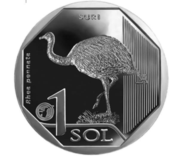 El suri en peligro: cinco claves sobre el ave más grande de Sudamérica