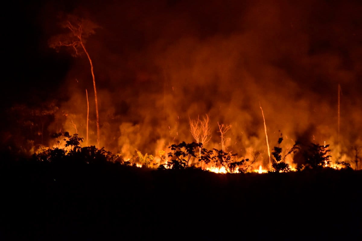 Los incendios en la Amazonía de Brasil dejan a Sao Paulo en la oscuridad