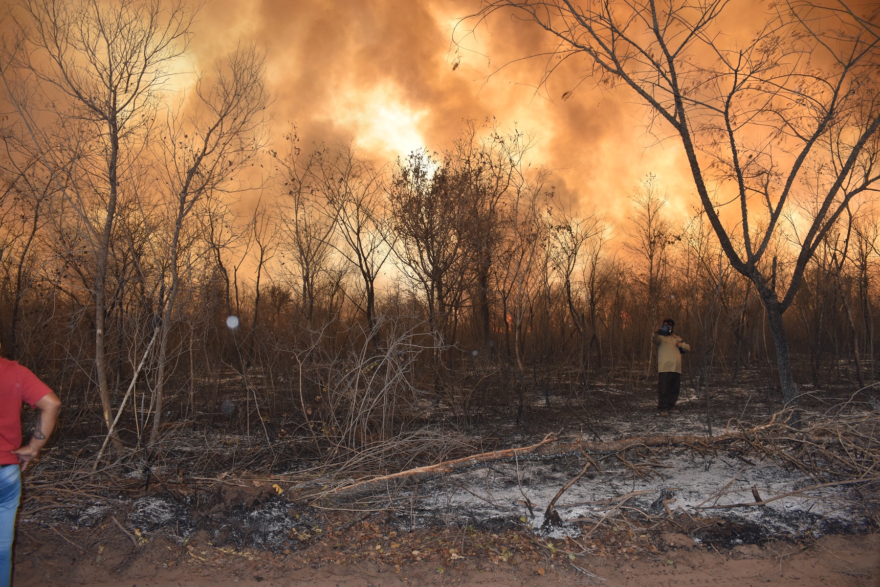 La tragedia de que se quemen dos ecosistemas importantes para Bolivia