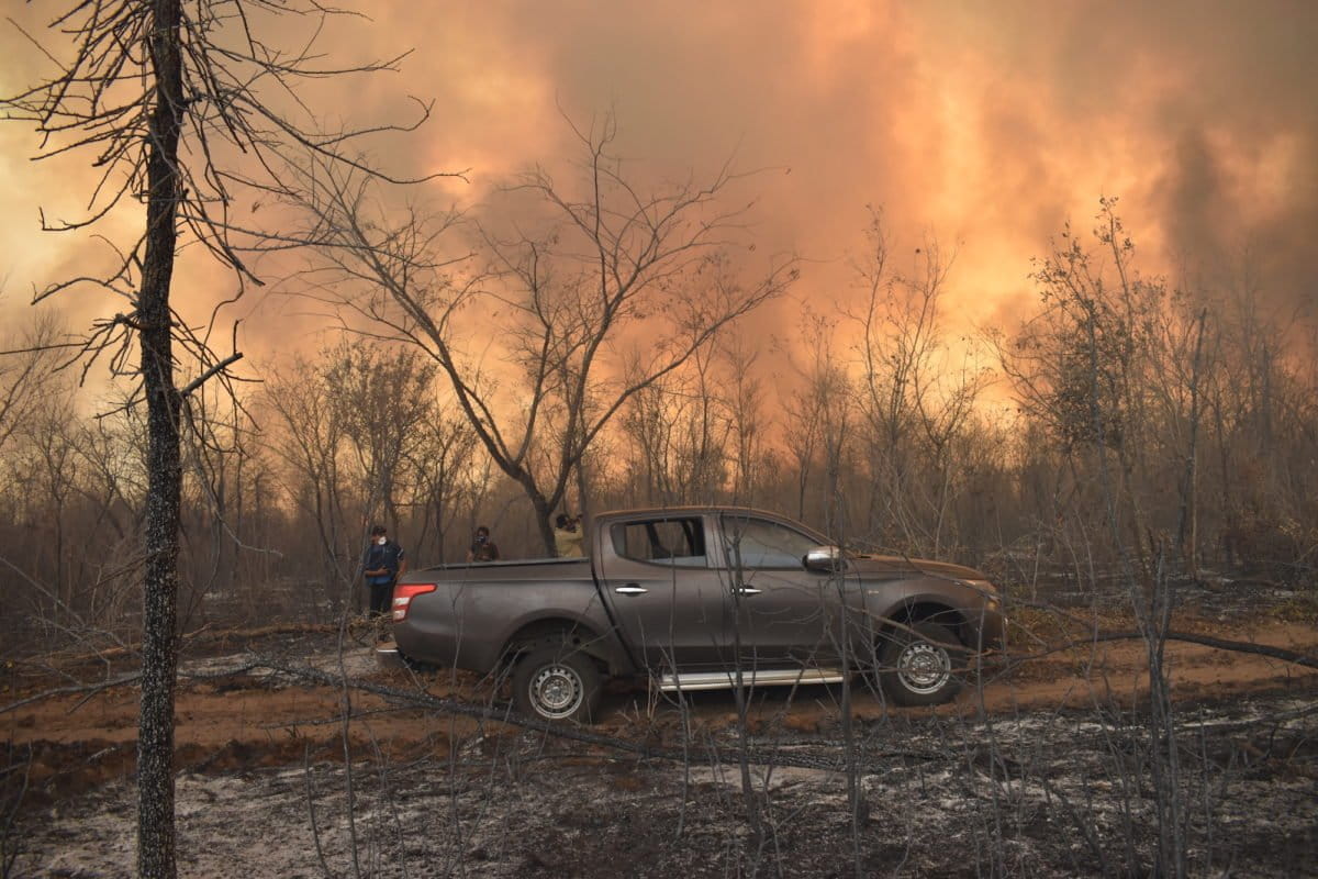 Bolivia: Tribunal de la Naturaleza culpa a Morales y Añez por incendios ...