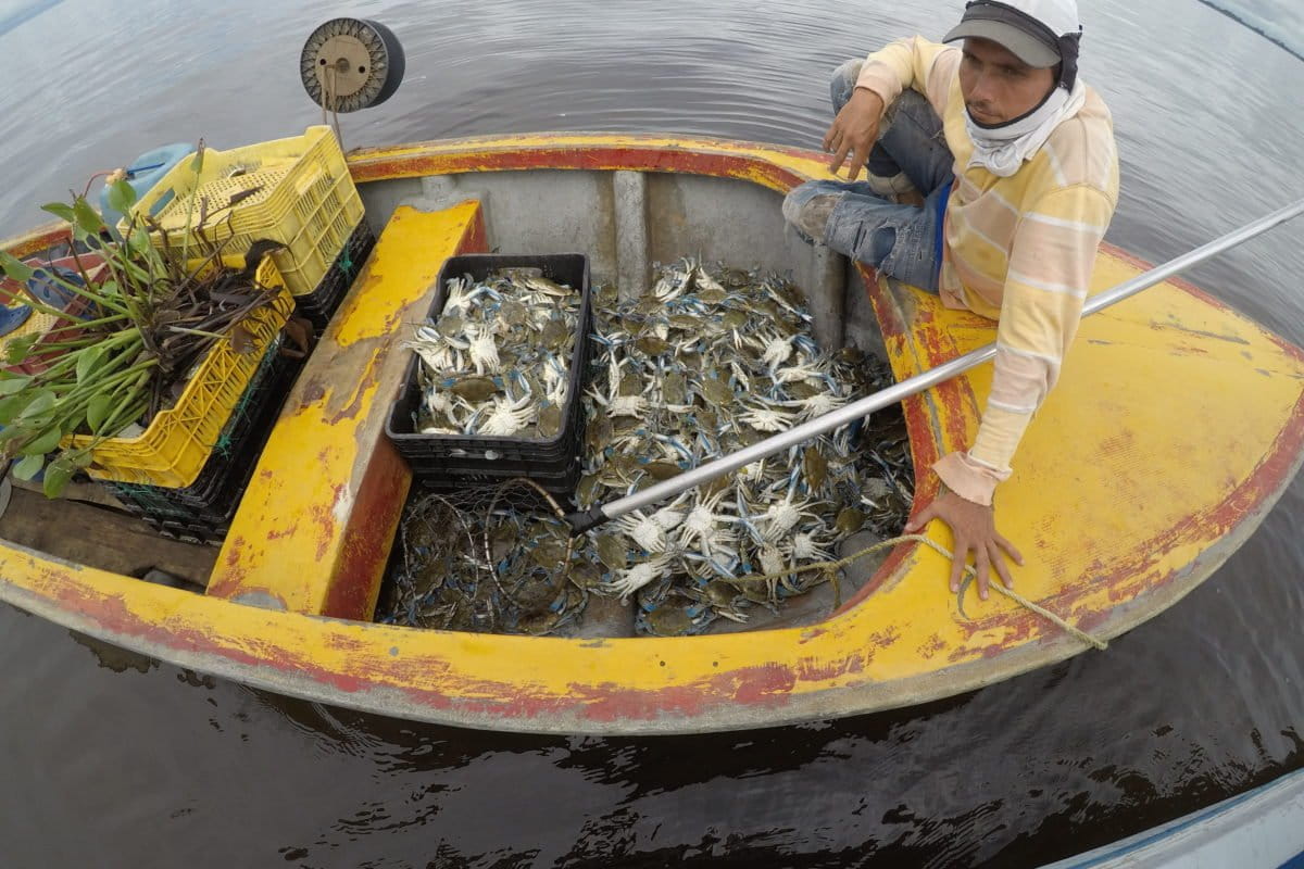 Yurasi Briceño: “En el lago de Maracaibo estarían muriendo cerca de 150 ...