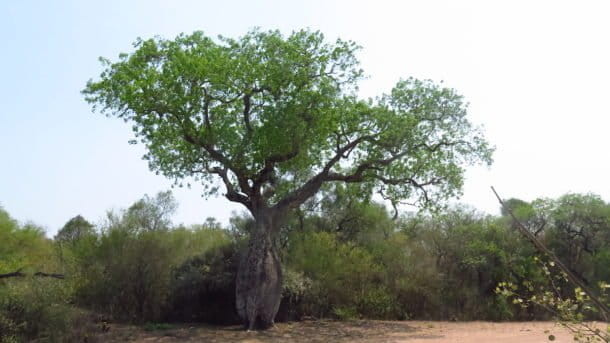 El Teuco: así funciona una estación científica en el corazón del Gran ...