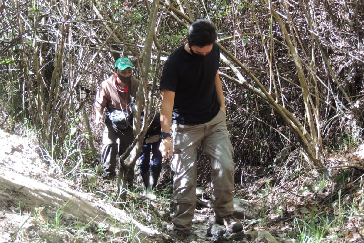 Venezuela: las ranas de Mucuchíes vuelven a su hábitat en plena ...