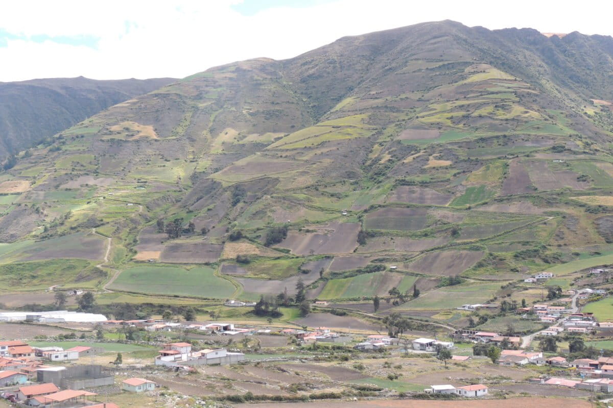 Venezuela: las ranas de Mucuchíes vuelven a su hábitat en plena ...