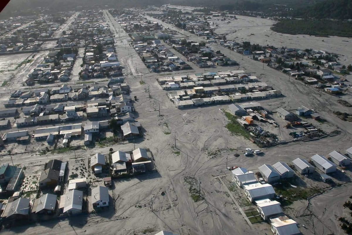 Chile: la sorprendente recuperación del bosque destruido tras la ...