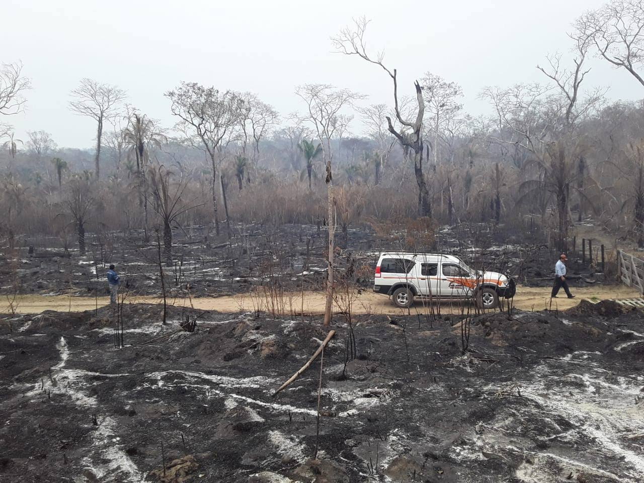 Incendios en Bolivia: "En 10 años se han afectado más de 5 millones de ...