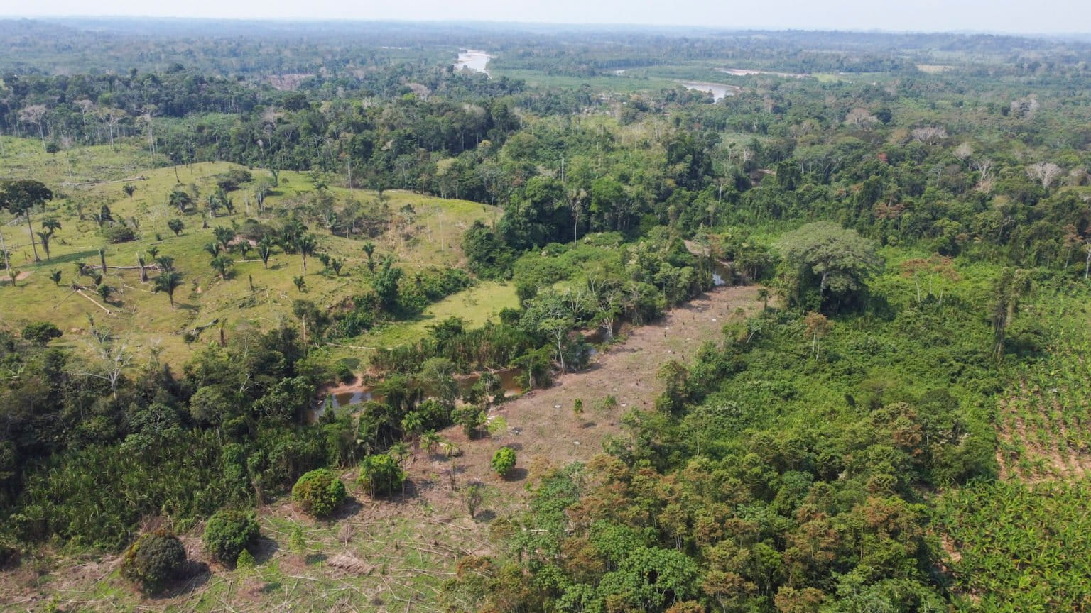 Deforestación 2021 Los Bosques Que Perdieron Los Países Amazónicos