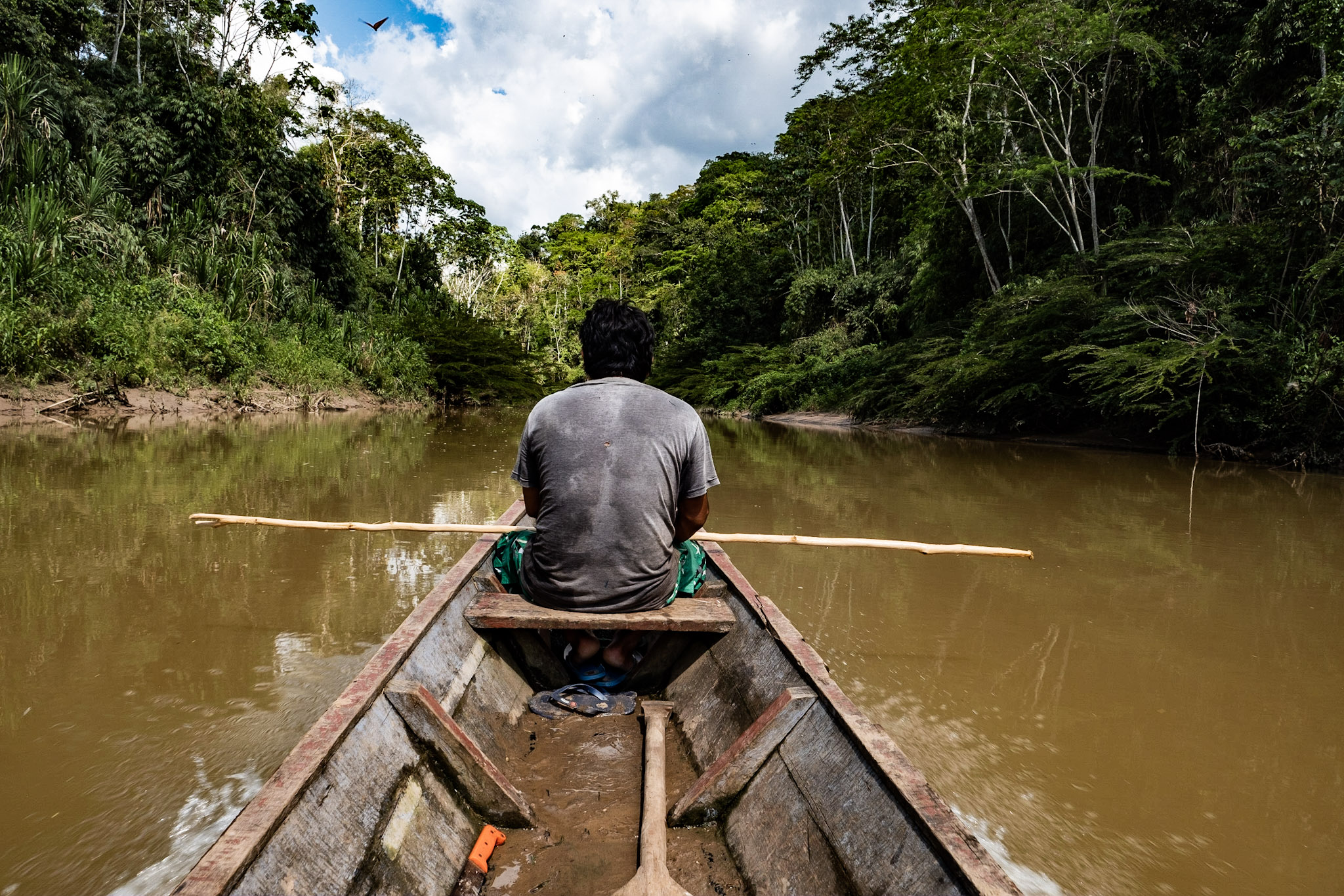 Parque Nacional Alto Purús: "Las amenazas siguen en aumento y de no ...