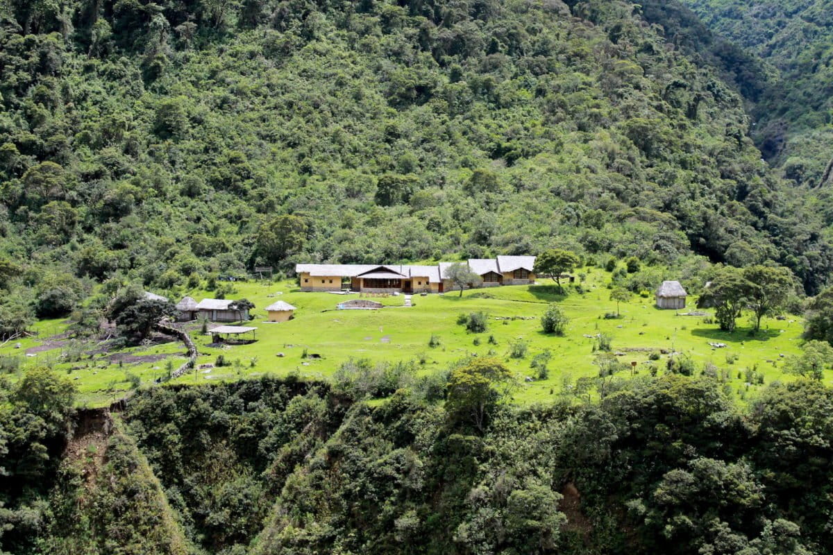 Perú: cinco nuevas áreas de conservación privada protegen bosques y ...