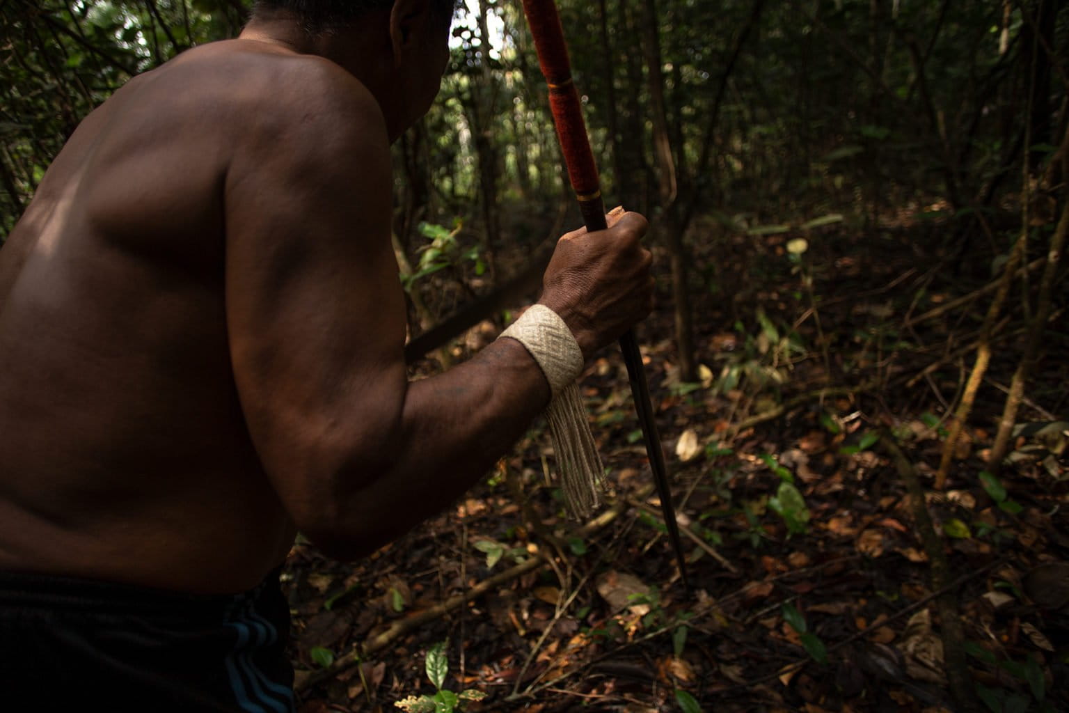 “MATSÉS”: una exposición que retrata la cultura indígena amazónica en ...