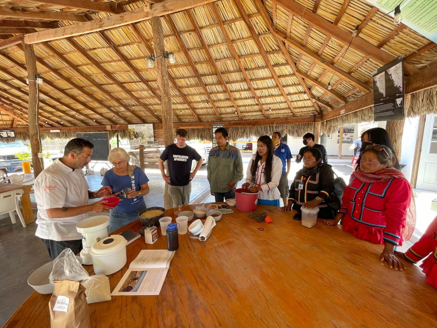 El grano del mar: la Nación Comcaac preserva pastos marinos y despierta ...