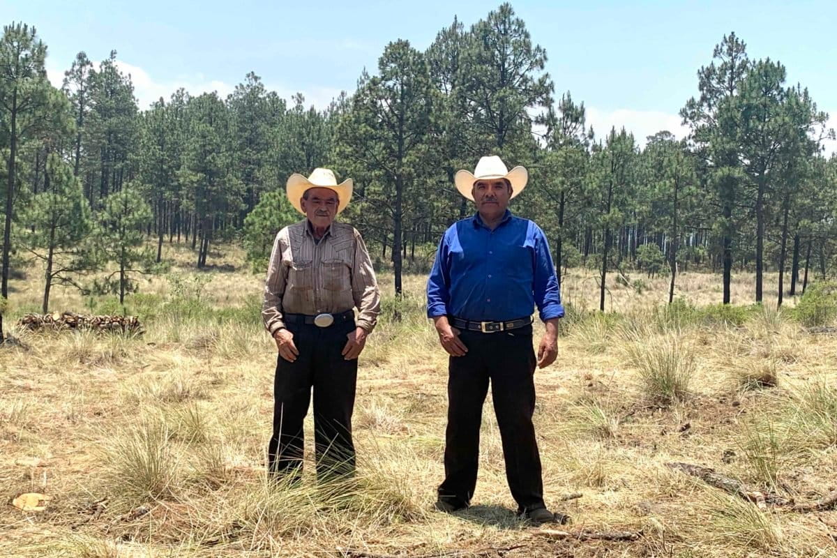México: comunidades forestales del centro del país entran al mercado de ...