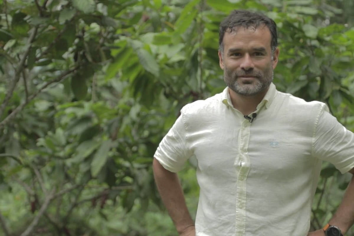 “Las zonas con territorios colectivos tienen menores tasas de deforestación y menos eventos de ...