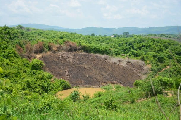 Región archivos - RED PRENSA VERDE