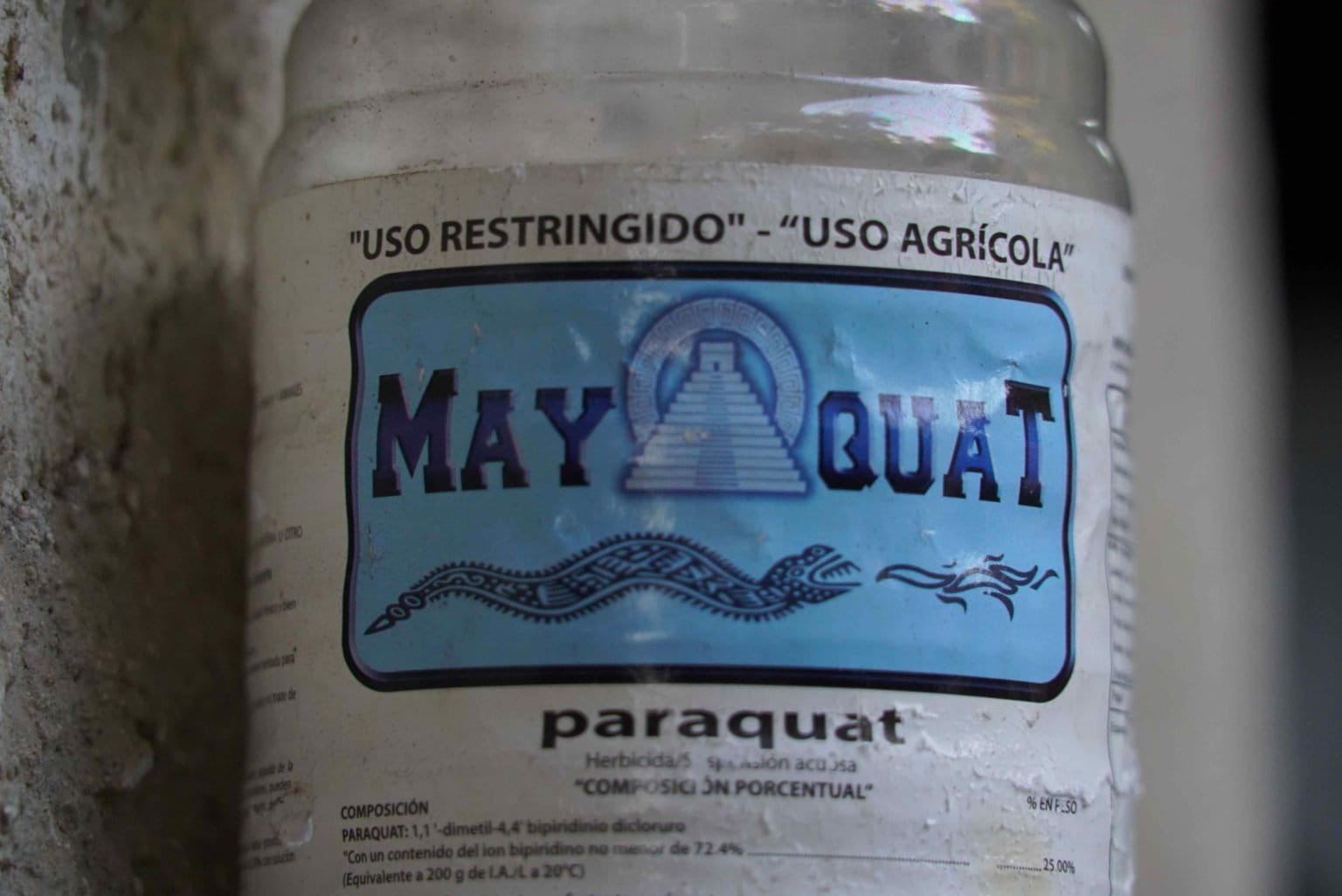 Soya: la agroindustria que arrasa con la selva maya